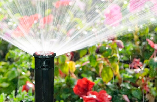 What to Expect During the Irrigation Installation Process | Conserva ...