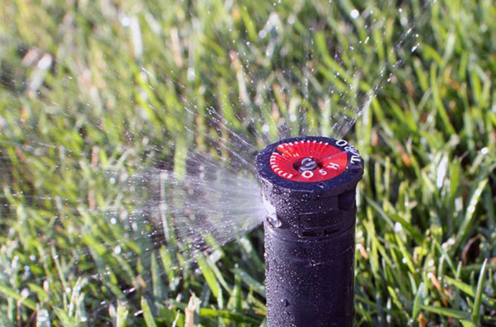 Springtime Irrigation Startup in Midlothian, Virginia