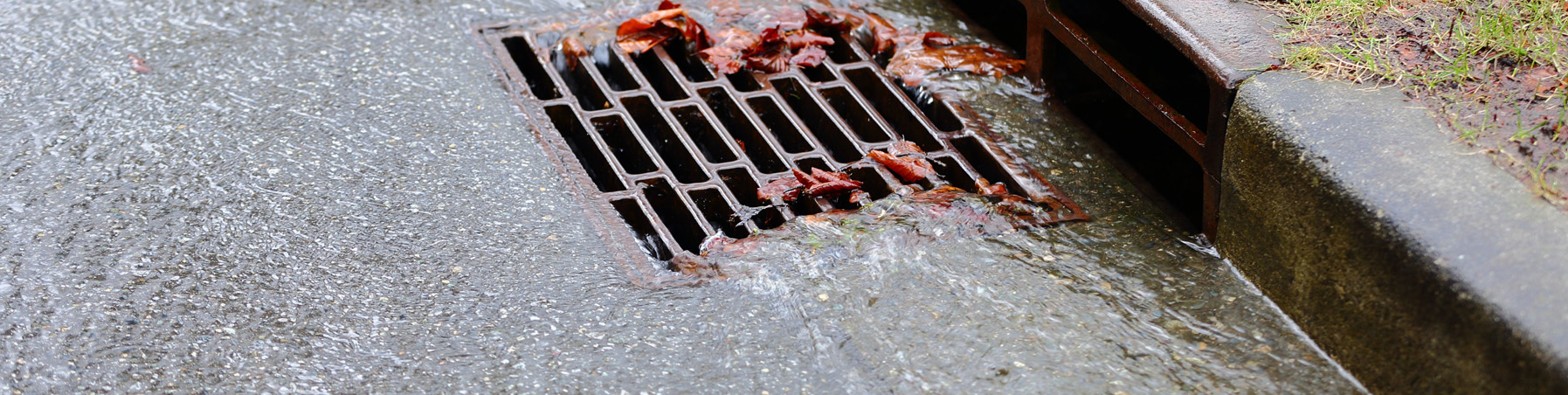 Minimize Storm Water Pollution with a Clean Water Landscape