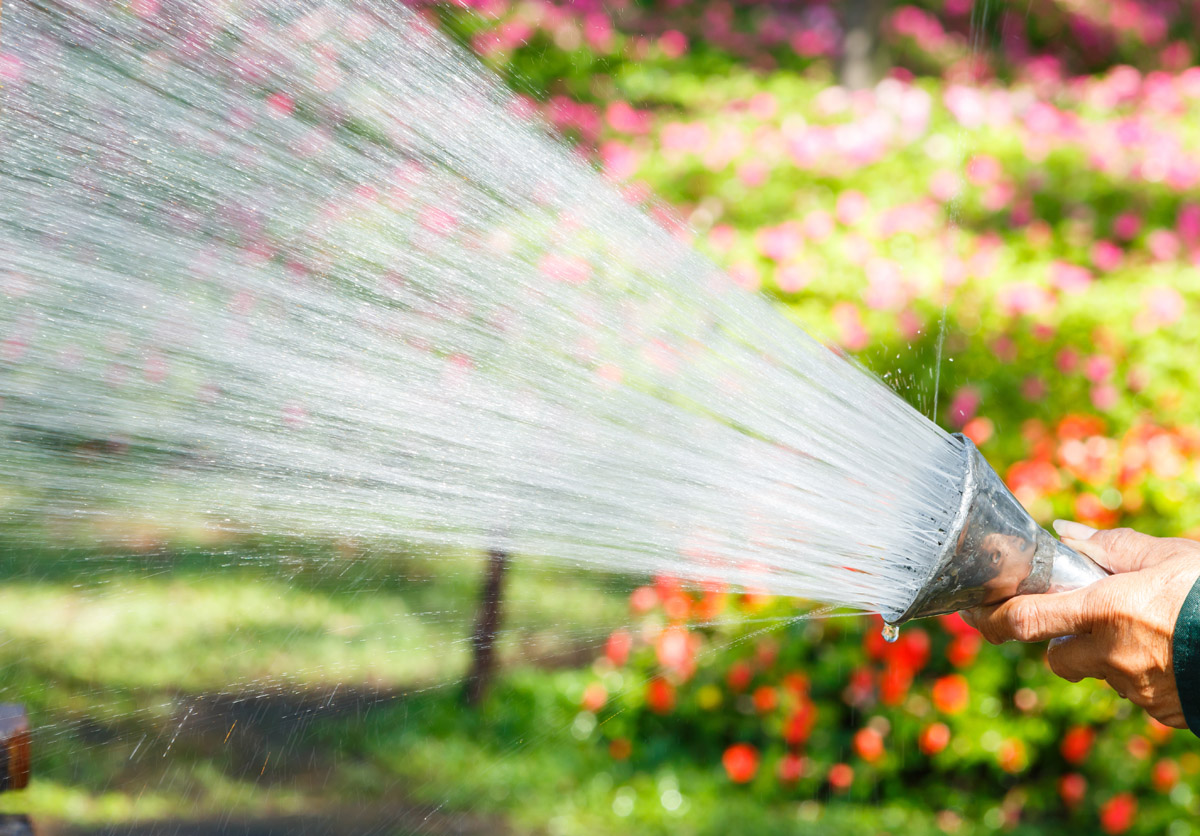 Video: How You Could Be Over-Watering Without Knowing