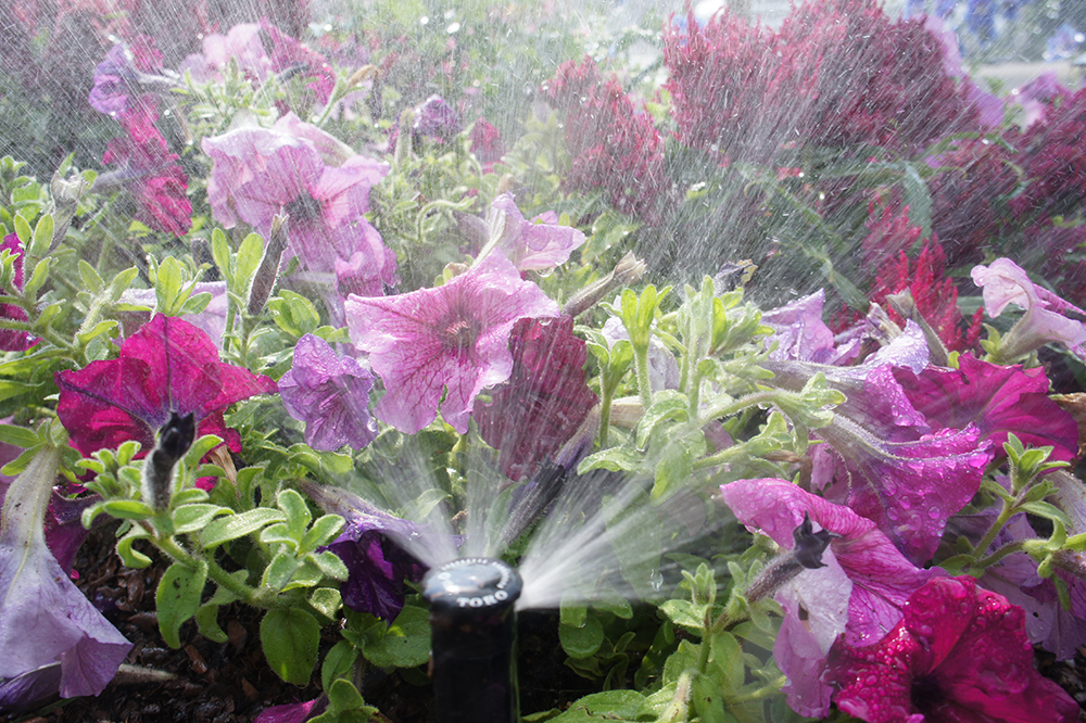 Start Your Spring Off Right! Schedule Your Marlboro Sprinkler Startup ...